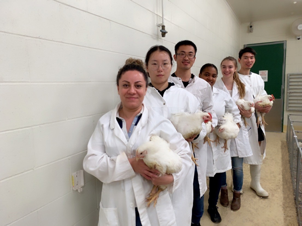 Identifying locally sourced protein-rich ingredients for sustainable ...